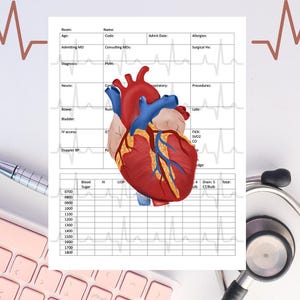 CVICU CCU ECMO Icu Report Sheet - Etsy