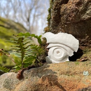 Human Eyes DIY Art Parts, Craft Supply Eye Pieces, Partial Eye ...