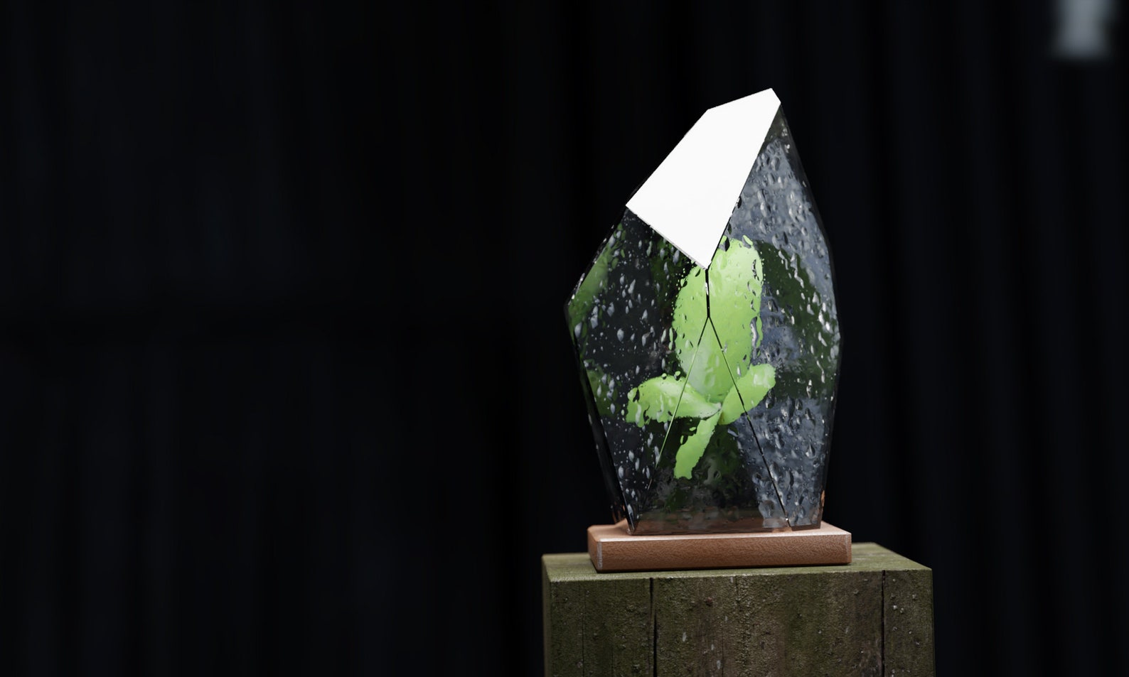 Glass Terrarium Template for Assembly by Tiffany's Method. Papercraft ...