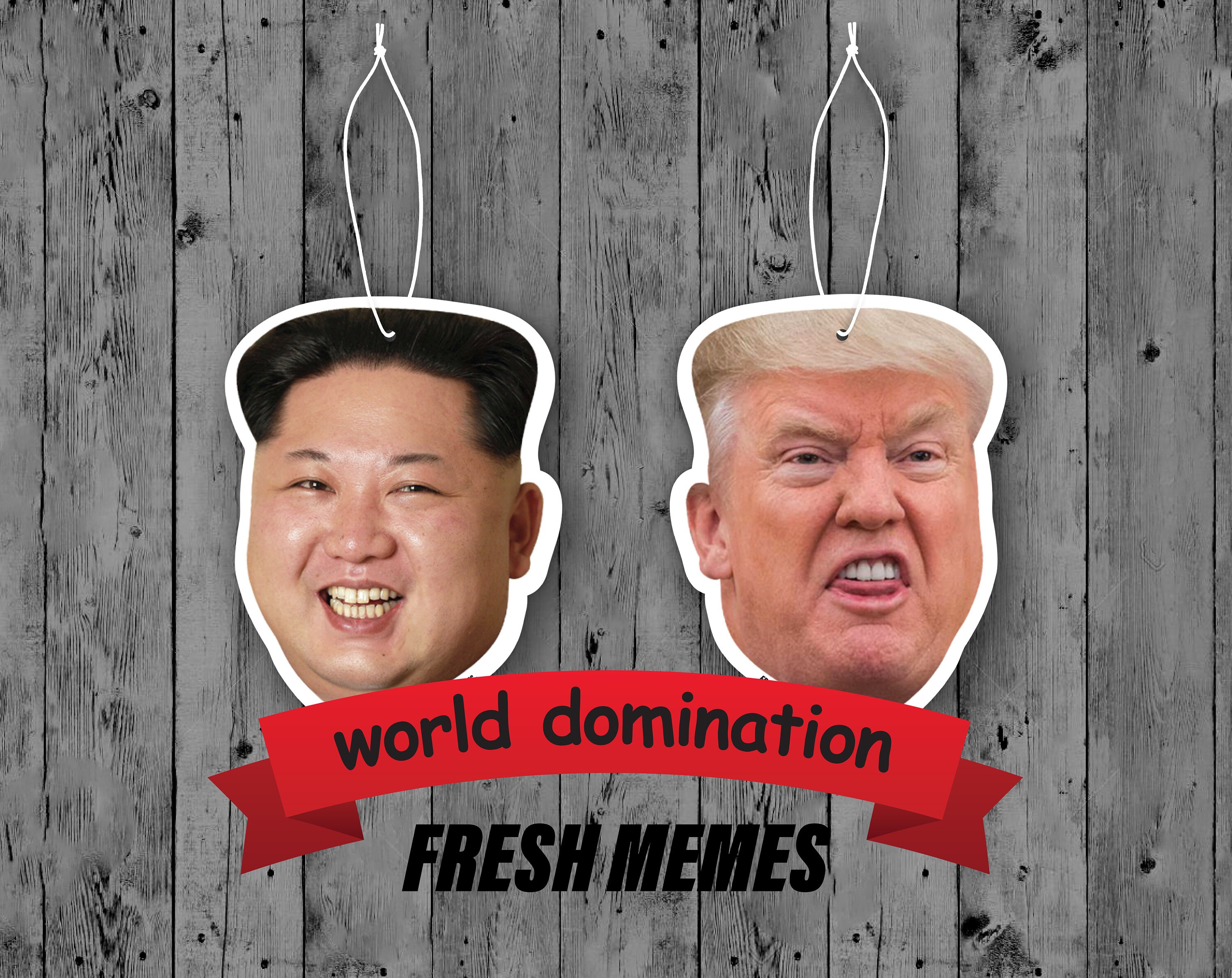World Domination | Meme Air Freshener - Etsy Australia