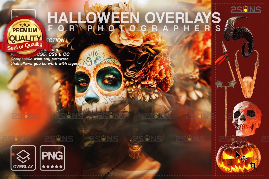 Halloween Overlay, Halloween Clipart, Skull Png, Halloween Pumpkin ...