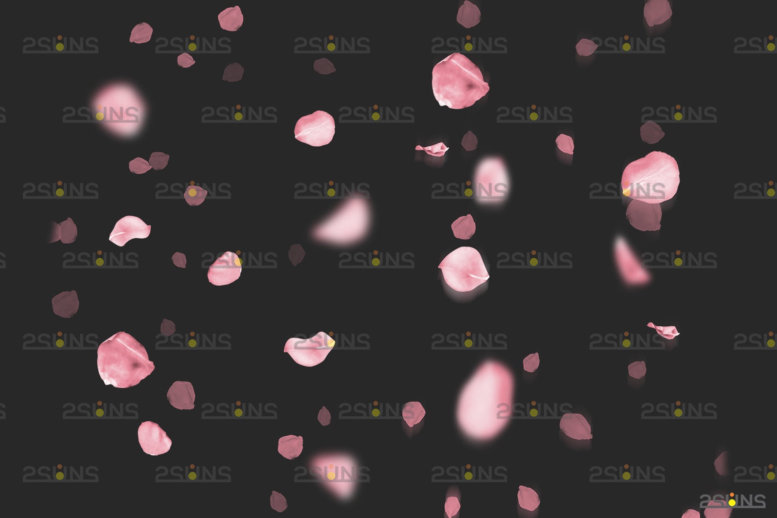 Flower Overlay Photo Overlay Floral Digital Backdrop Flower - Etsy