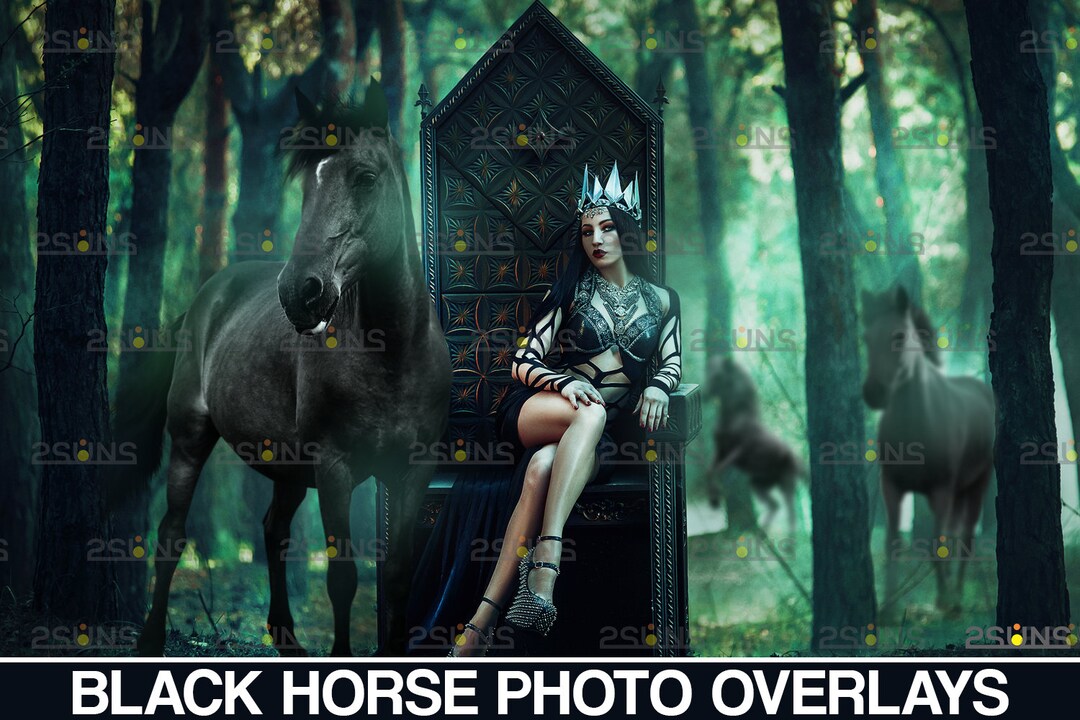 Horse Png, Horse Photo Overlays, Photoshop Overlays, Halloween Overlay ...