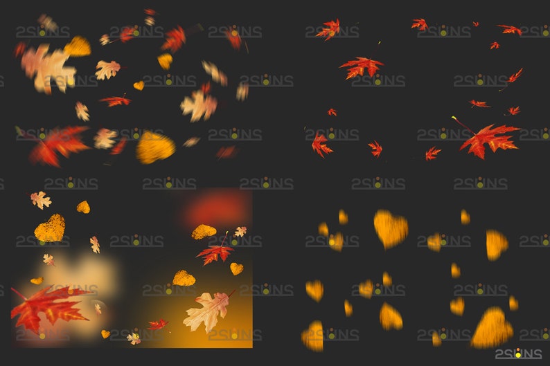 Leaf Overlay Photo Autumn Leaves Photo Overlays Photo - Etsy