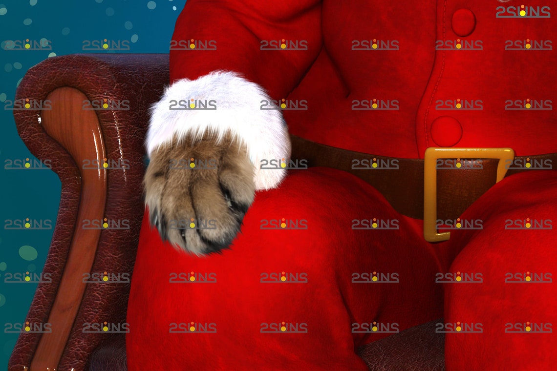 Christmas Pet Portrait Template, Christmas Overlays, Santa Overlay ...