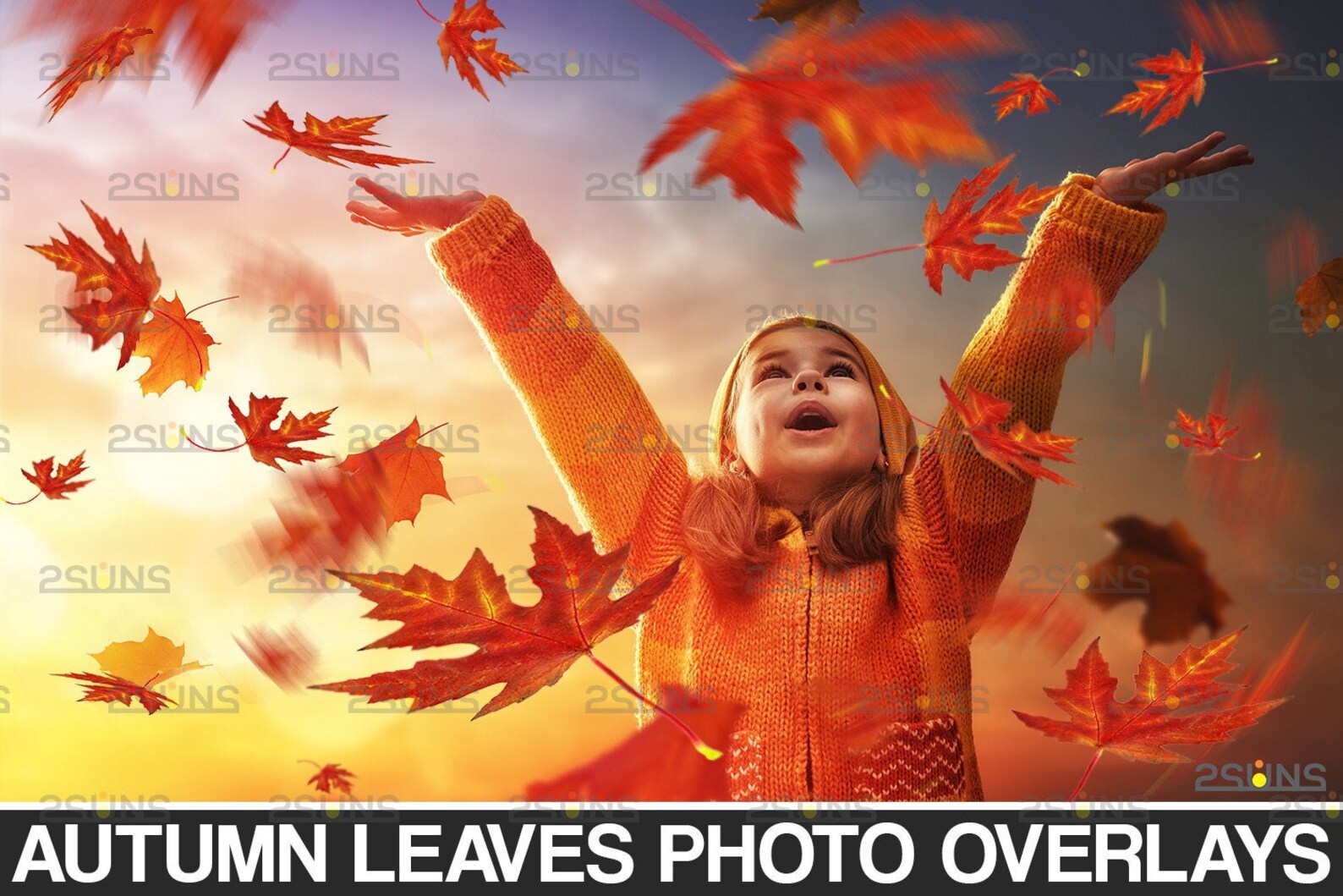 Leaf Overlay Photo Autumn Leaves Photo Overlays Photo - Etsy