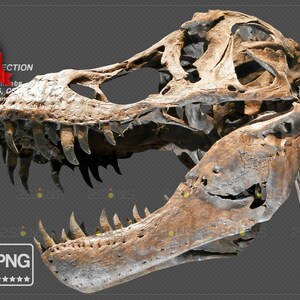 Dinosaur Photoshop Overlays, Dinosaur Clipart, Halloween Overlay ...