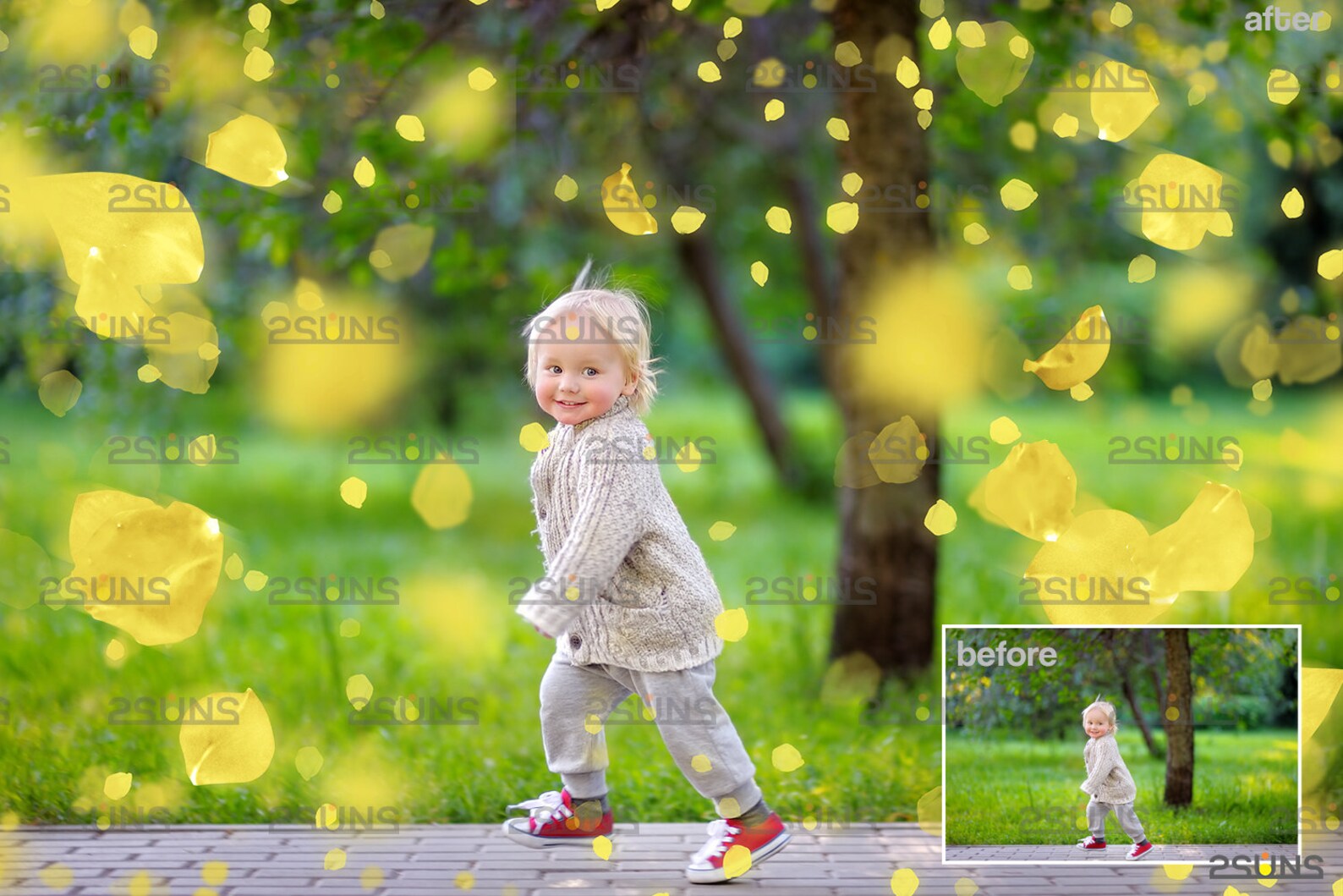 Flower Photo Overlays, Floral Digital Backdrop, Flower Photoshop ...