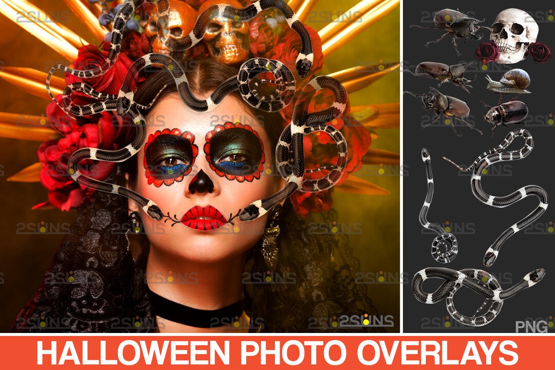 Halloween Overlay, Photoshop Overlays, Skull Png, Spooky Snake Photo ...