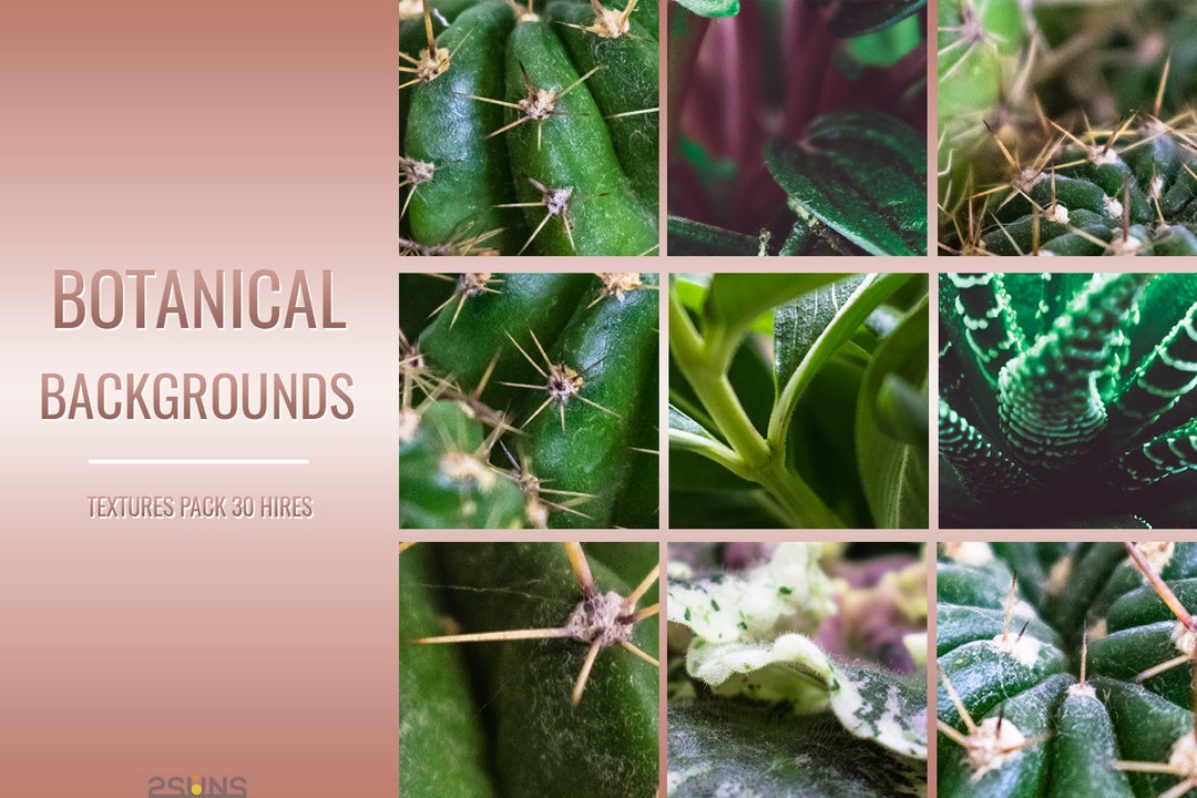 Floral Photo Overlay, Fine Art Textures, Flower Photoshop Textures ...