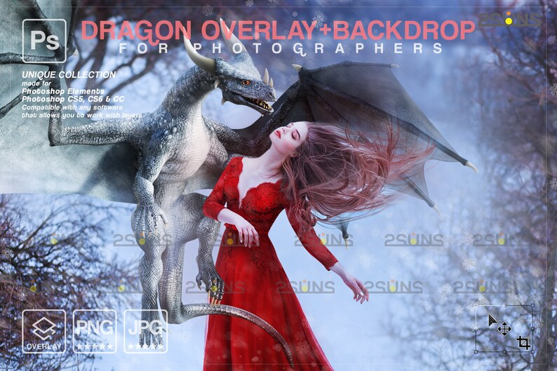 Digital Winter Backdrop Dragon Overlay Photoshop Overlay - Etsy
