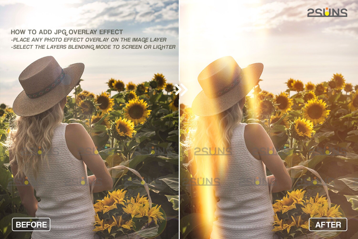 Sunlight Photo Overlays, Lens Flare Photoshop Overlays, Natural Sun ...