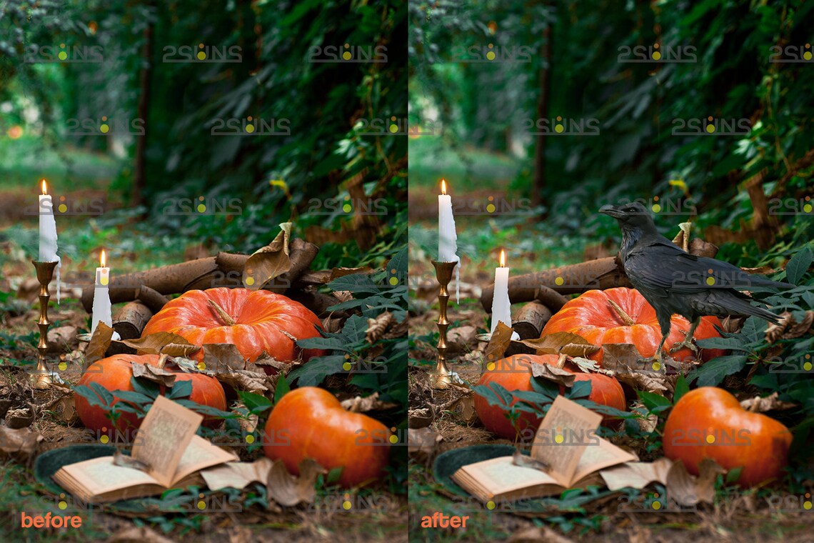 Raven Photoshop Overlays, Halloween Overlay, Photo Overlay, Realistic ...