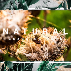 Photoshop Overlays, Fern Overlay, Nature Textures, Floral Digital ...