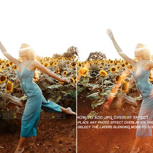 Sunlight Photo Overlays, Lens Flare Photoshop Overlays, Natural Sun ...