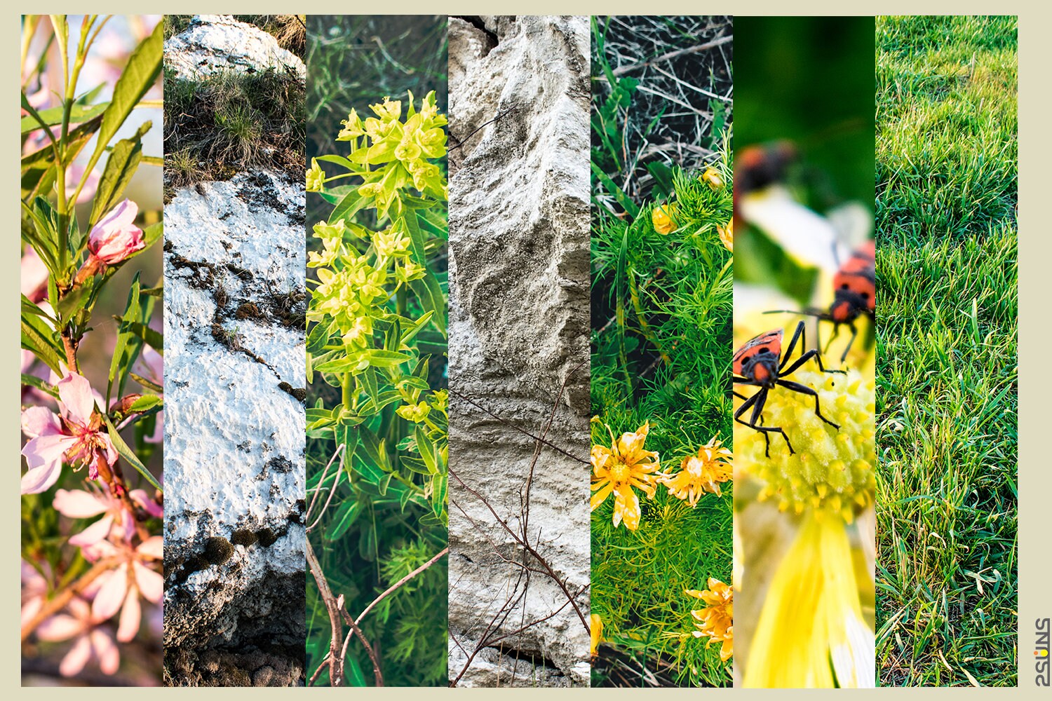 Photoshop Overlays, Fern Overlay, Nature Textures, Floral Digital ...