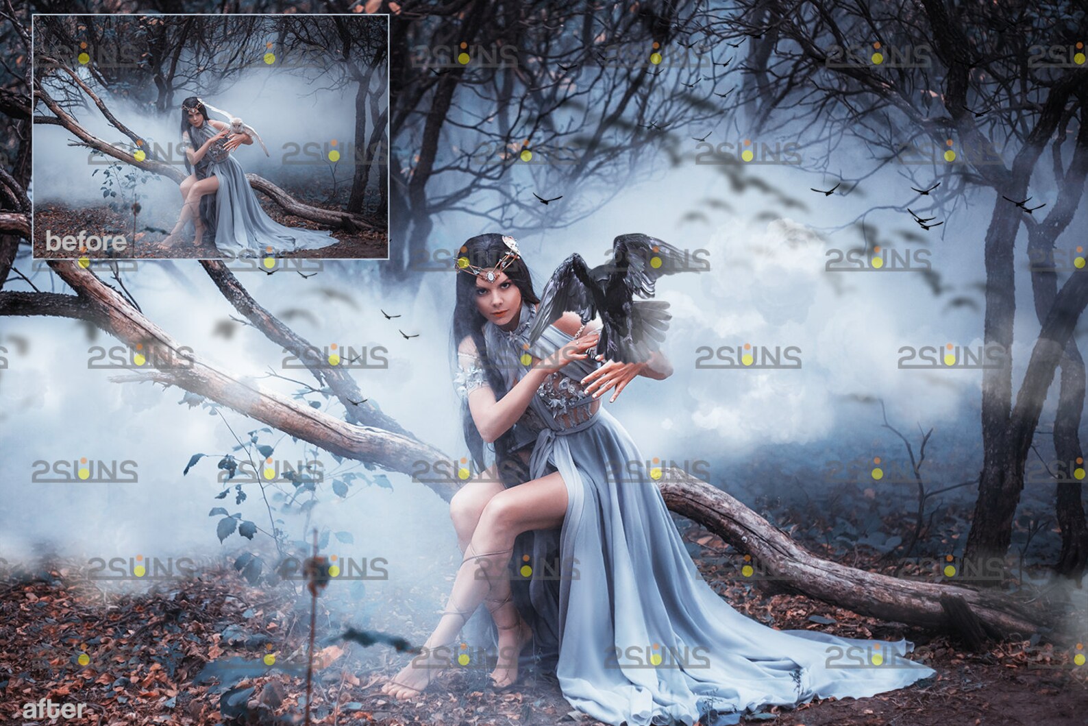 Raven Photoshop Overlays, Halloween Overlay, Photo Overlay, Realistic ...