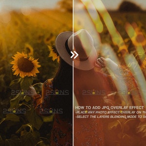 Sunlight Photo Overlays, Lens Flare Photoshop Overlays, Natural Sun ...
