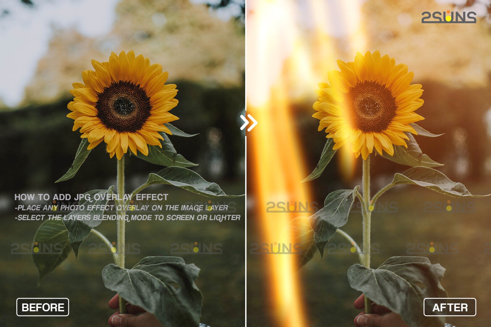 Sunlight Photo Overlays, Lens Flare Photoshop Overlays, Natural Sun ...