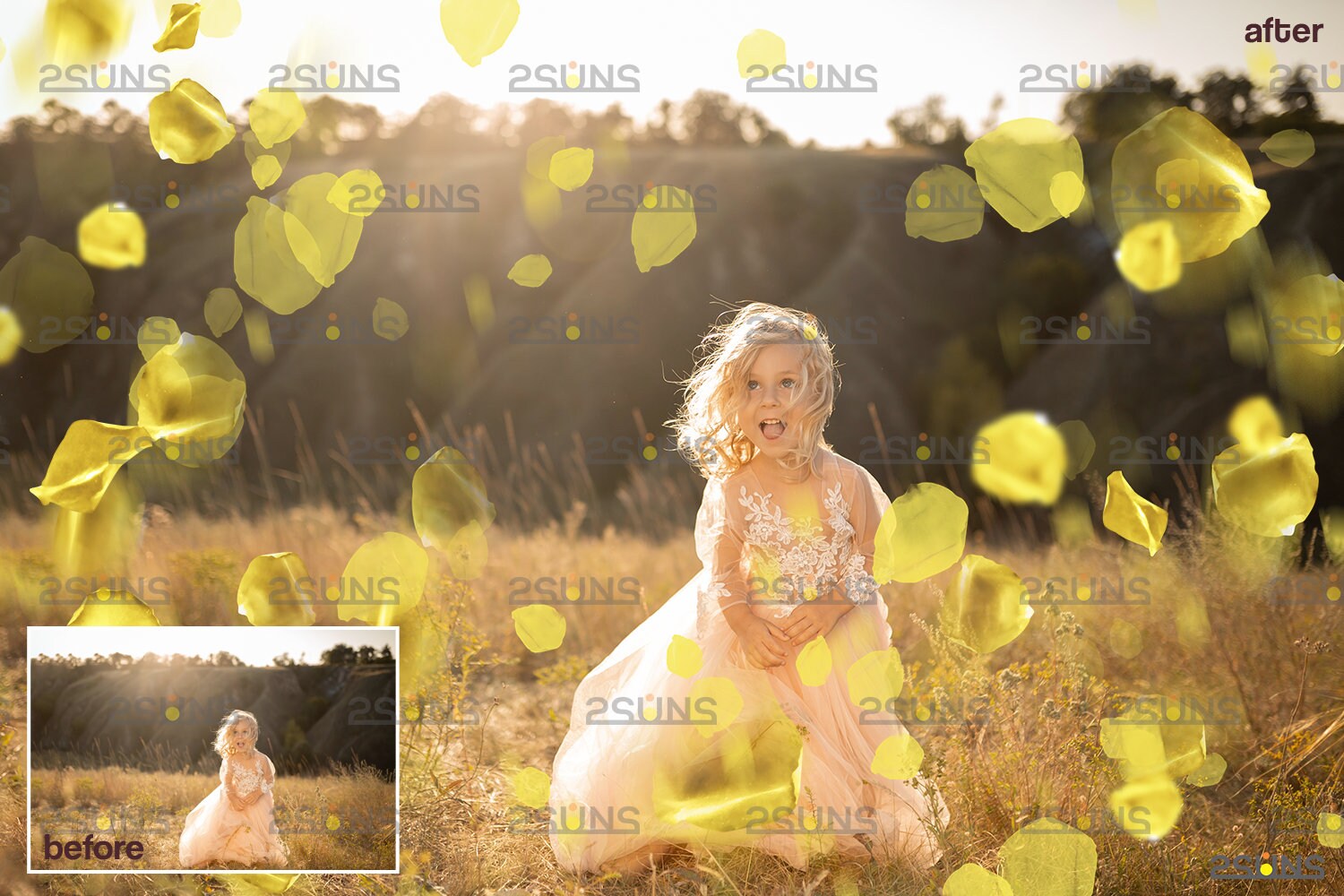 Flower Photo Overlays, Floral Digital Backdrop, Flower Photoshop ...
