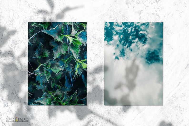 Nature Textures, Floral Photo Overlay, Fern Overlay, Floral Backdrop ...