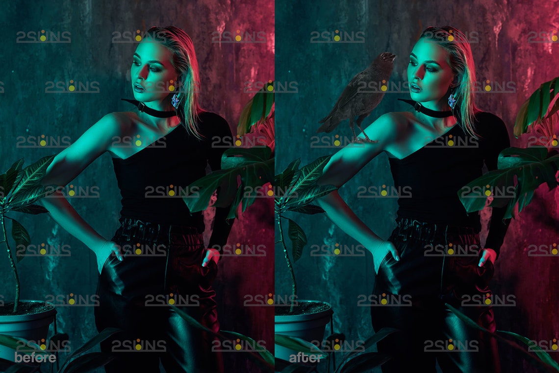 Raven Photoshop Overlays, Halloween Overlay, Photo Overlay, Realistic ...
