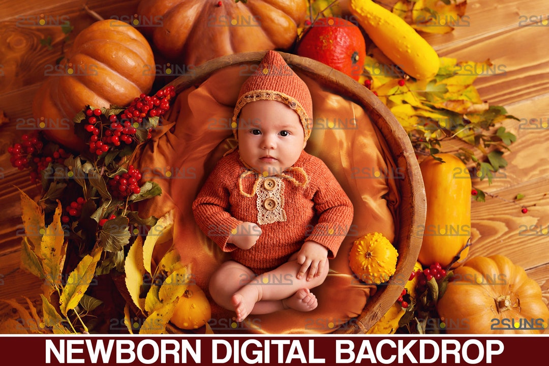 Newborn Backdrop, Baby Autumn Backdrop, Digital Newborn Nature Backdrop ...