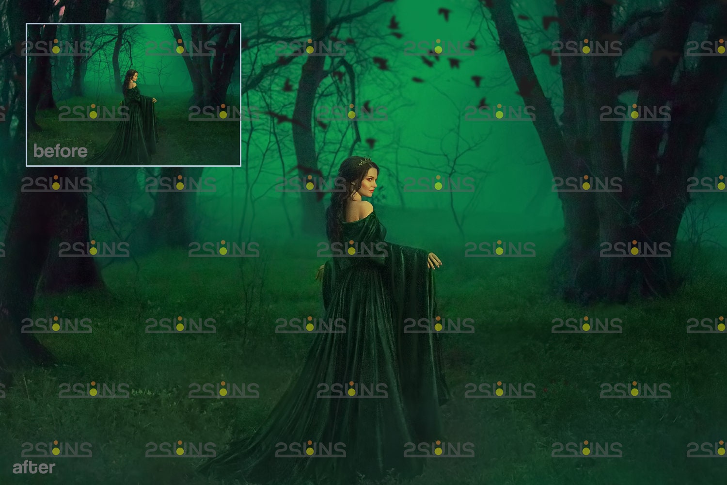Raven Photoshop Overlays, Halloween Overlay, Photo Overlay, Realistic ...
