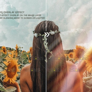 Sunlight Photo Overlays, Lens Flare Photoshop Overlays, Natural Sun ...