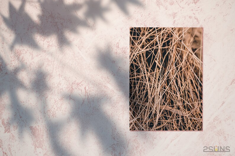 Nature Textures, Floral Photo Overlay, Fern Overlay, Floral Backdrop ...
