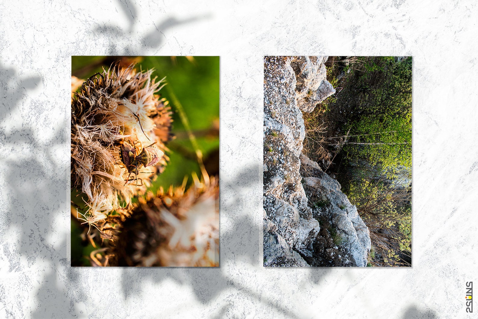 Photoshop Overlays, Fern Overlay, Nature Textures, Floral Digital ...