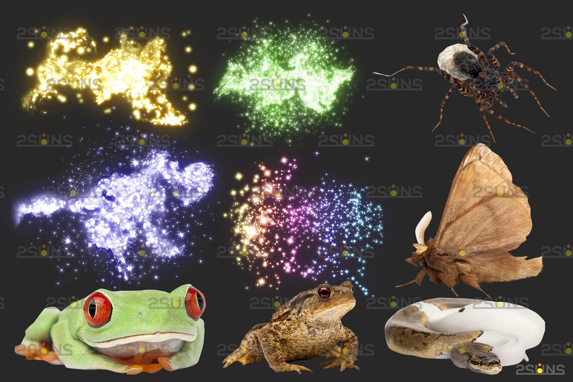 Magic Wand Photo Overlays Halloween Overlay Photoshop - Etsy