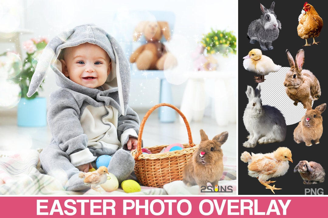 Easter Photoshop Overlays, Easter Bunny Photo Overlays, Easter Digital ...