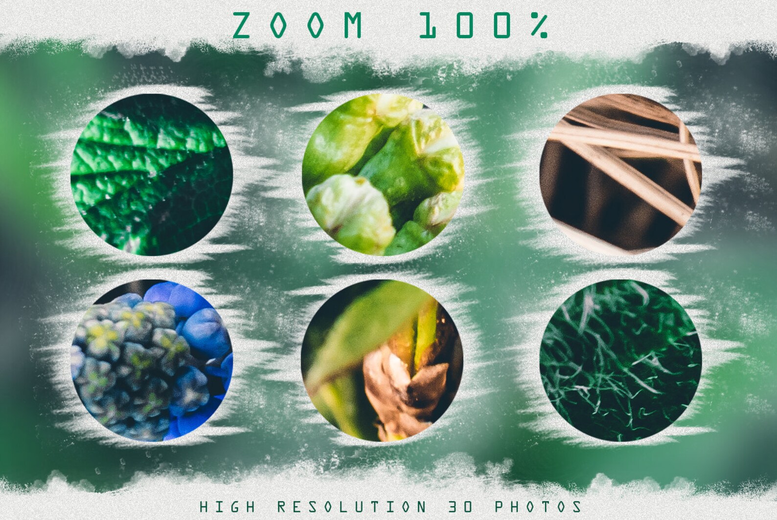 Nature Textures, Floral Photo Overlay, Fern Overlay, Floral Backdrop ...