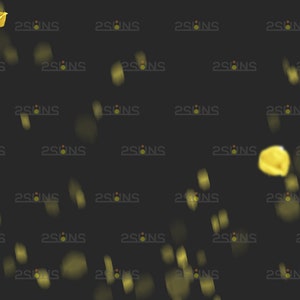 Flower Photo Overlays, Floral Digital Backdrop, Flower Photoshop ...