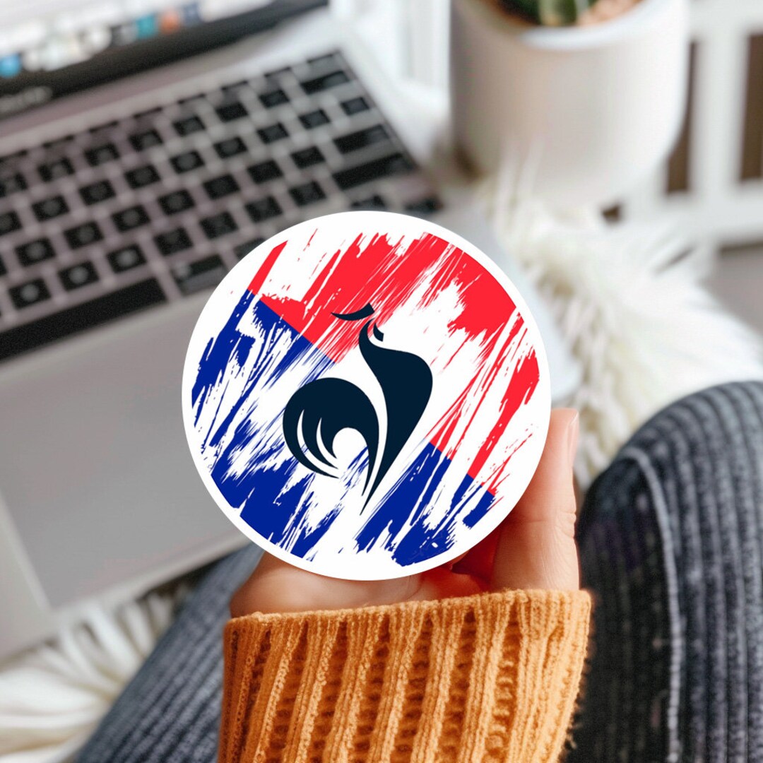 France Flag Sticker, Laptop Sticker, Helmet Sticker, Guitar Sticker ...