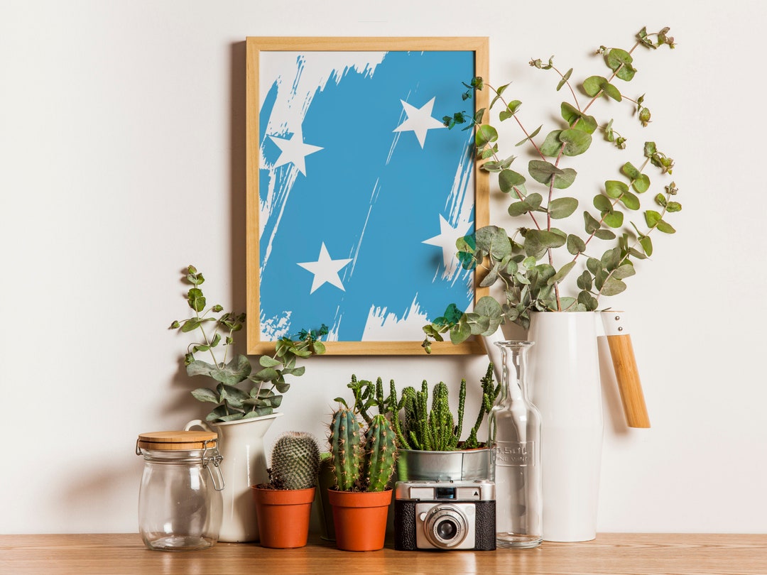 Micronesia Flag Print | Micronesia Poster | Micronesia Wall Art Print ...