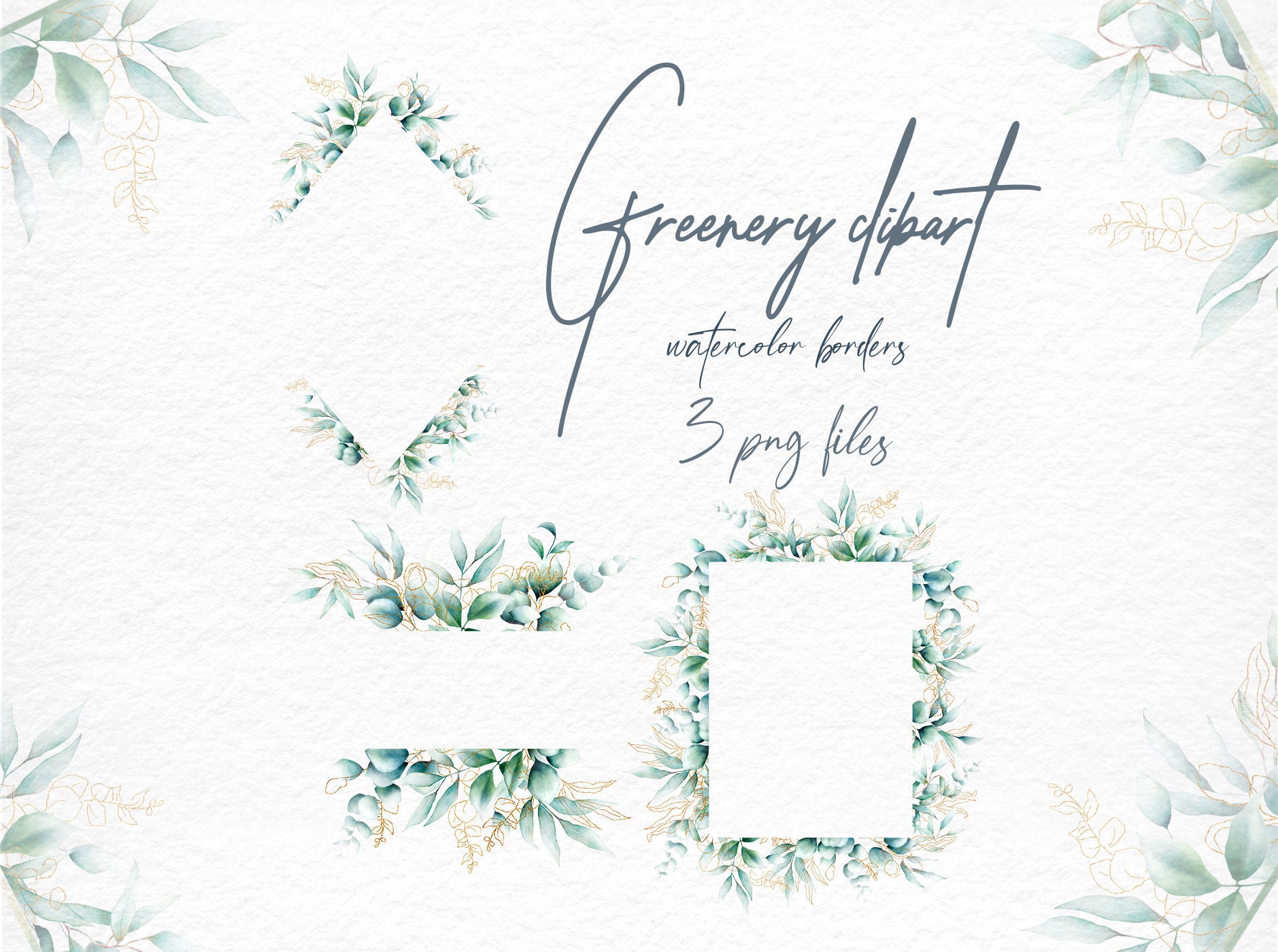 Greenery Watercolor Clip Art. 3 Eucalyptus Borders. Eucalyptus - Etsy