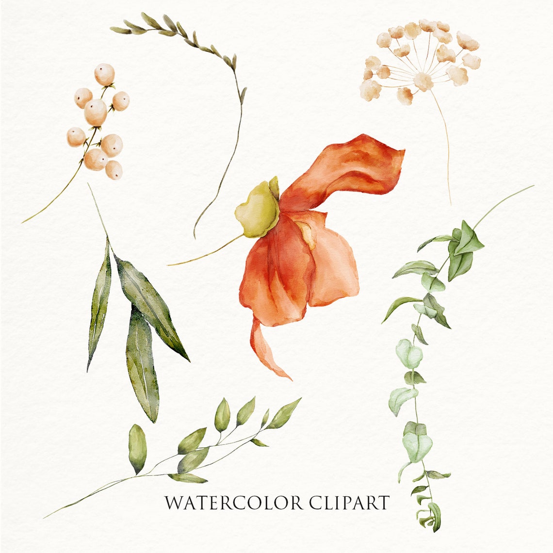 Spring Floral Watercolor Clipart. 22 Elements. Orange Elegant - Etsy