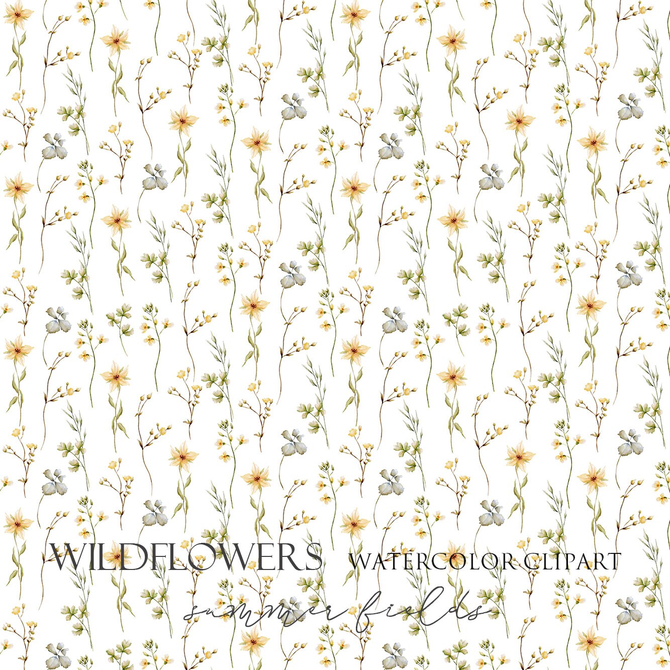 Wildflowers Watercolor Seamless Patterns. Meadow Floral Botanical ...