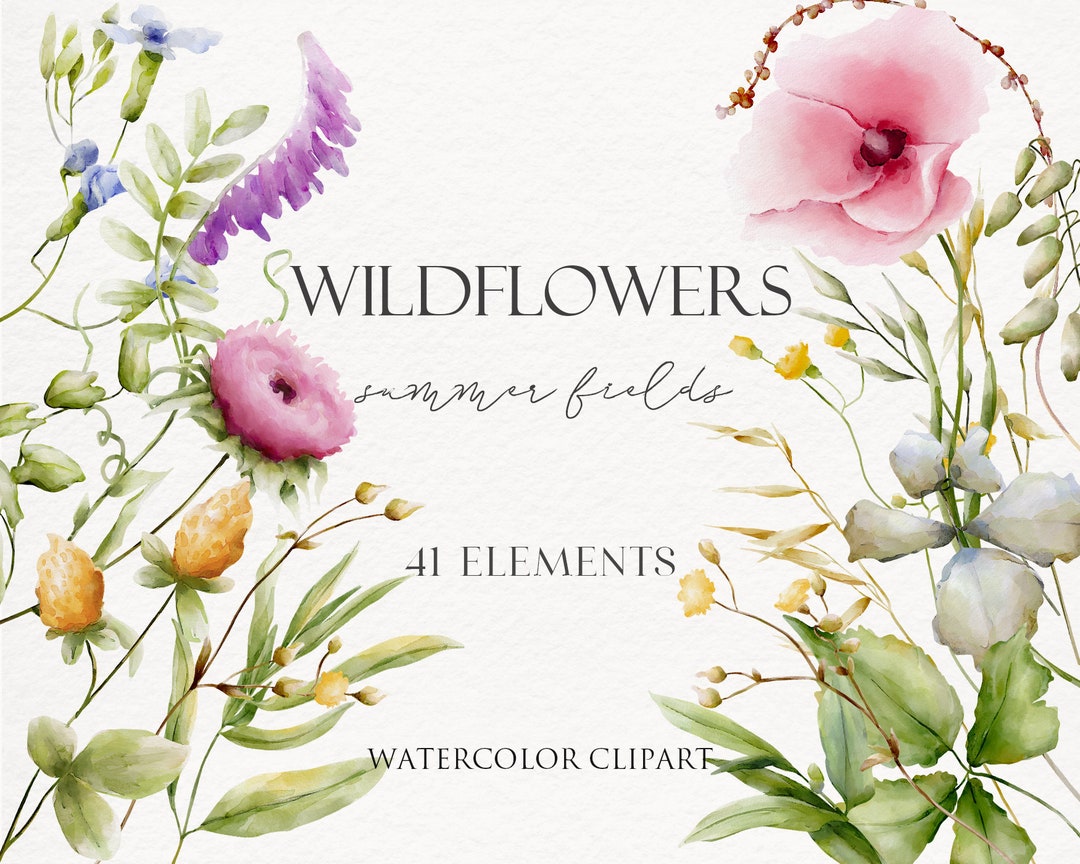 Wildflowers Watercolor Clipart. Floral Botanical Illustrations. Field ...