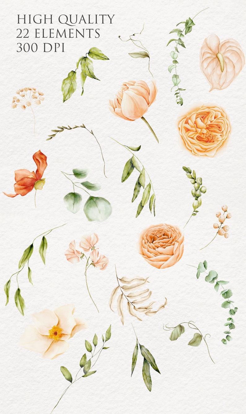Spring Floral Watercolor Clipart. 22 Elements. Orange Elegant - Etsy