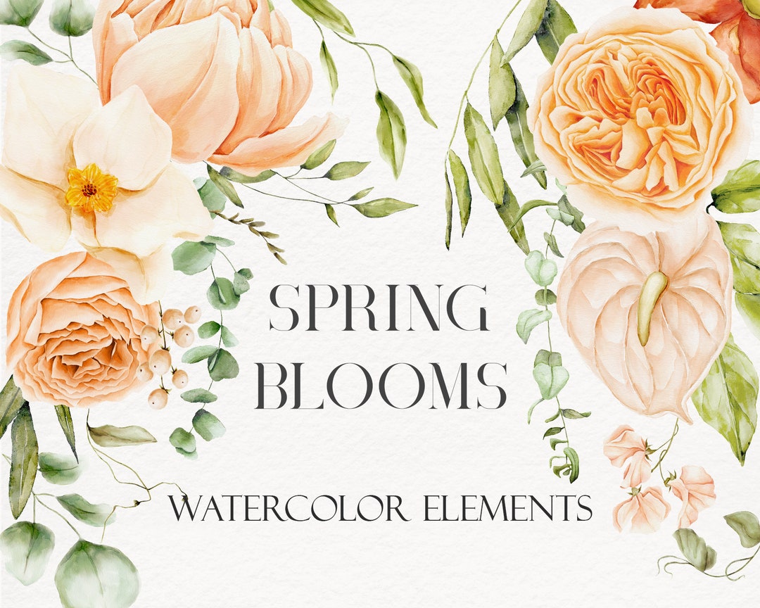 Spring Floral Watercolor Clipart. 22 Elements. Orange Elegant Garden ...