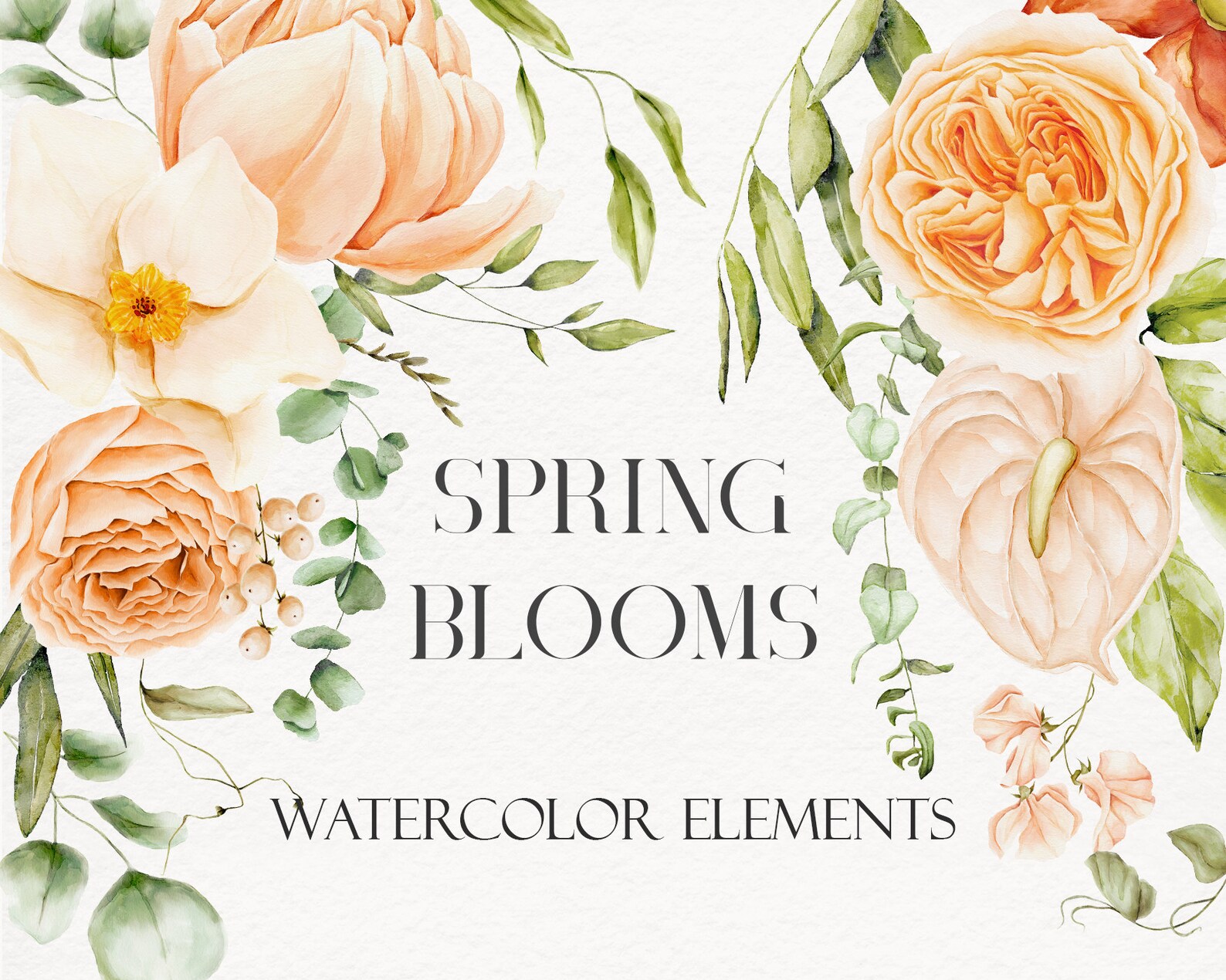 Spring Floral Watercolor Clipart. 22 Elements. Orange Elegant - Etsy