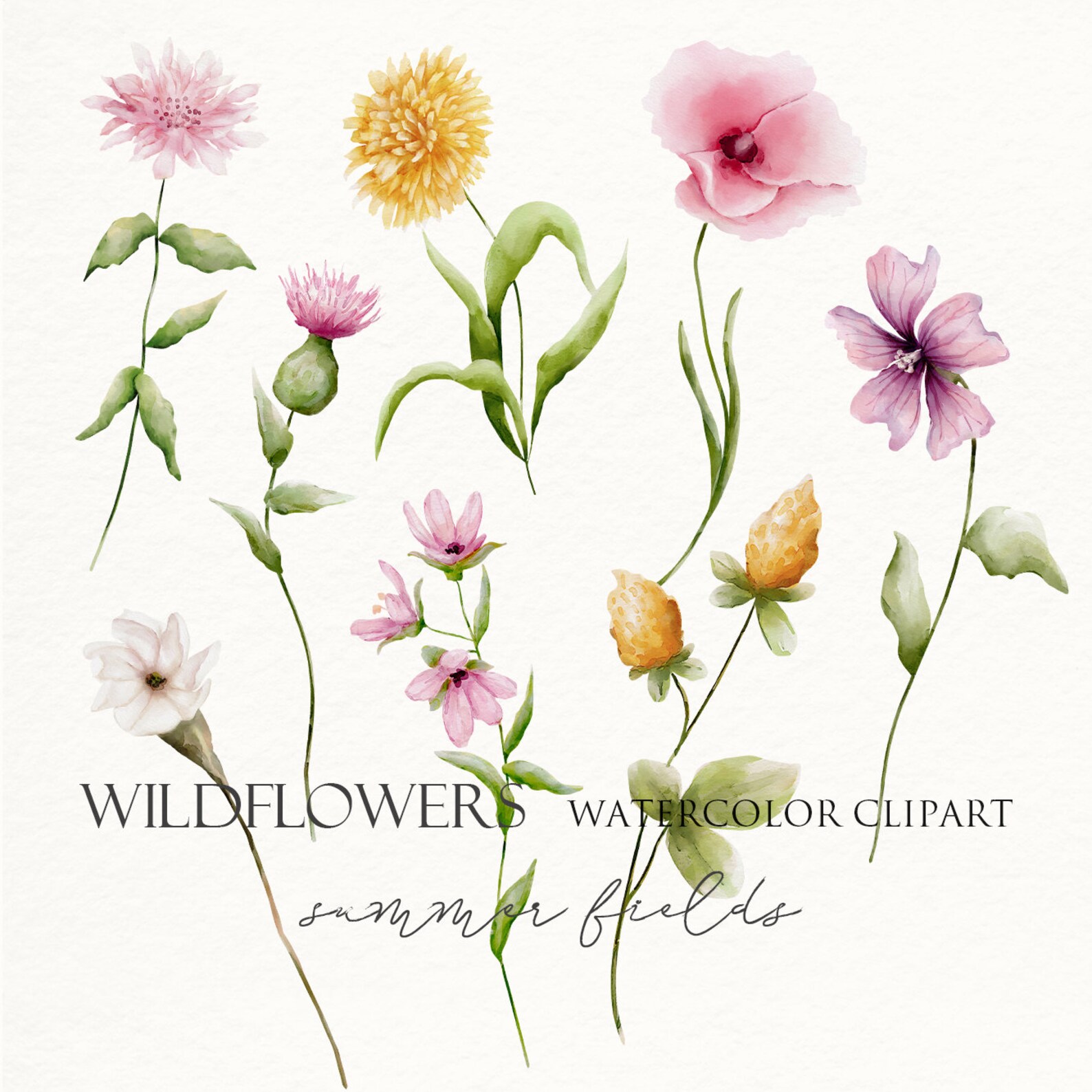 Wildflowers Watercolor Clipart. Floral Botanical - Etsy