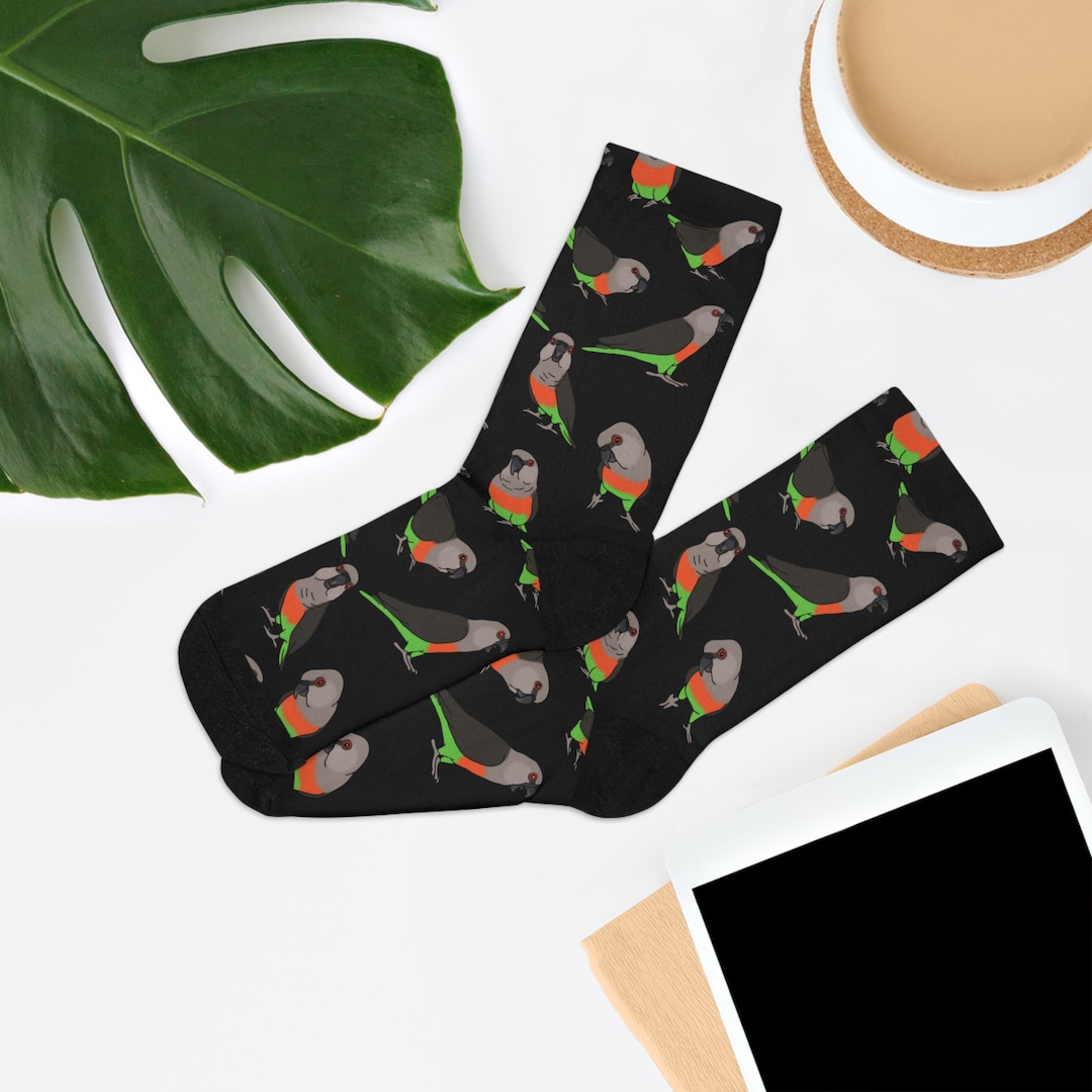 Red Bellied Parrot Socks, Cute Red Bellied Parrot Socks Black, Parrot ...