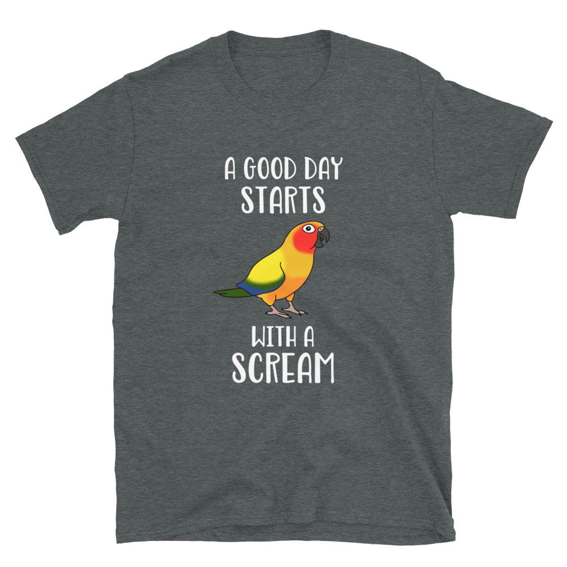 A Good Day Start With a Scream Sun Conure T-shirt Birb Memes - Etsy