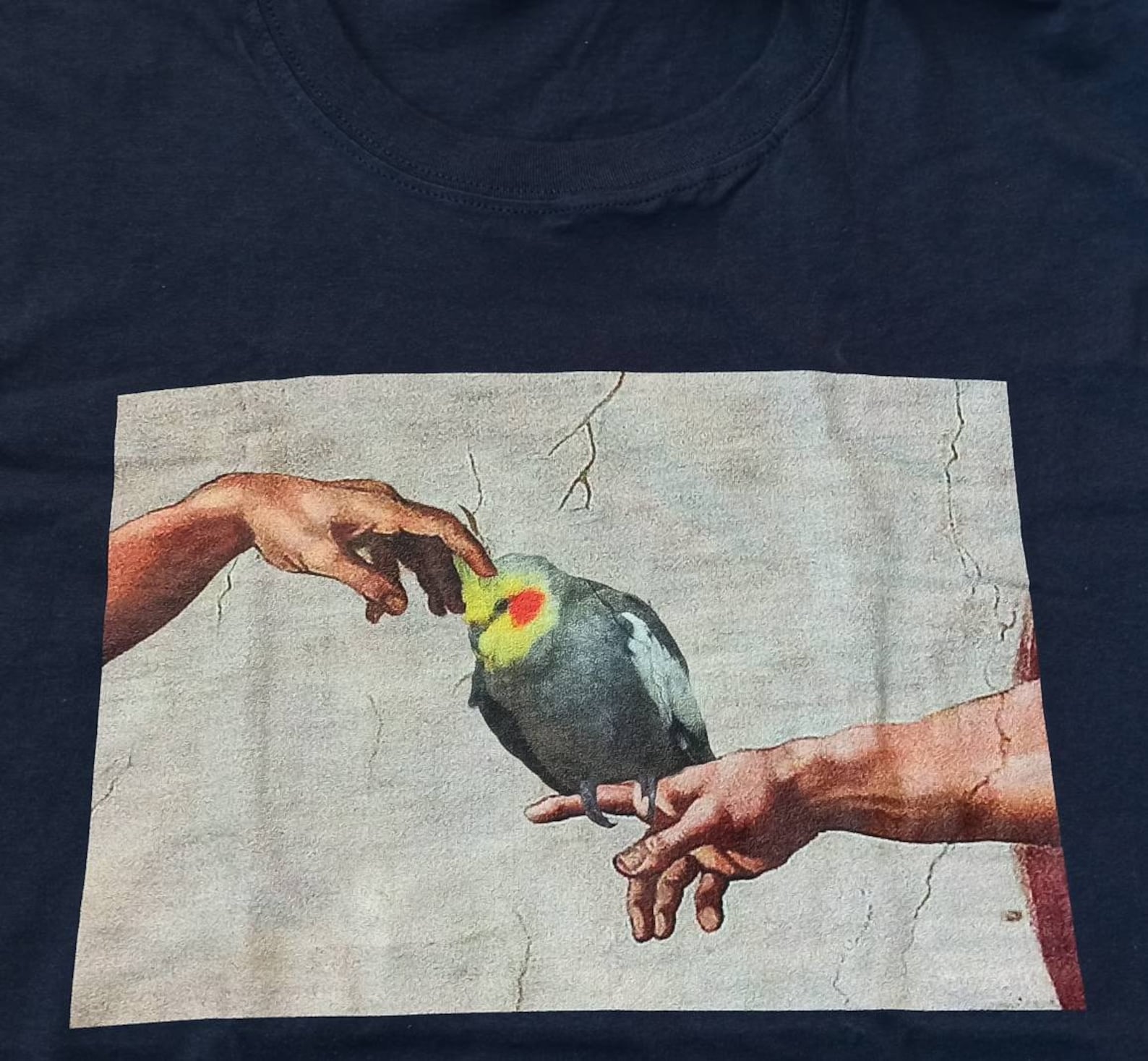 Scritching a Cockatiel Tee Funny Michelangelo Cockatiel | Etsy