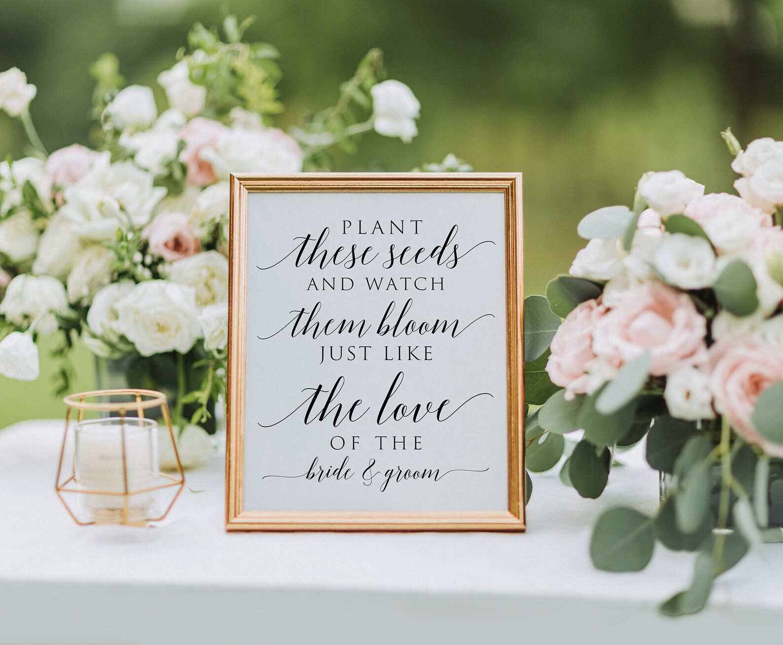 Seed Favors Sign Wedding Seed Favors Wedding Sayings - Etsy