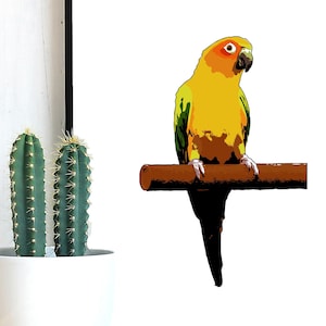 Sun Conure Svg Cut Files, Conure Waterslide Decal, Svg Files for Cricut ...